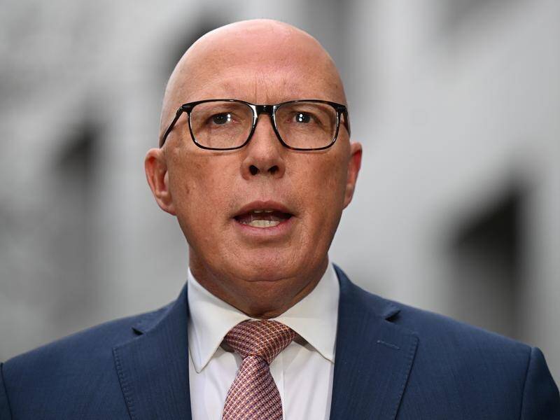 Peter Dutton says he will help his children with a house deposit 'at ...